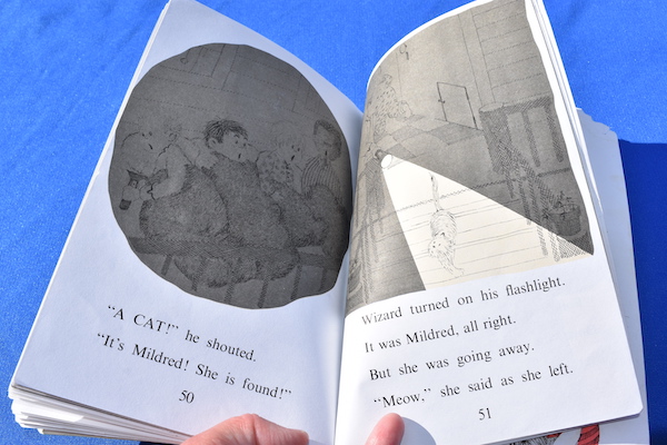 The Case of the Cat’s Meow – Jestress's Forgotten Books and Stories