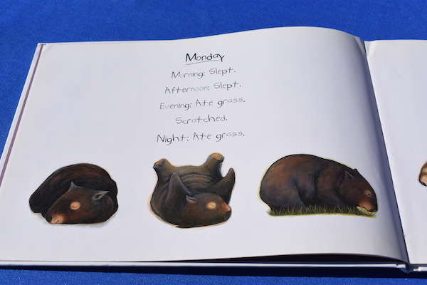 Diary of a Wombat – Jestress's Forgotten Books and Stories