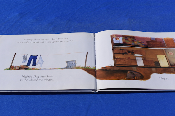 Diary of a Wombat – Jestress's Forgotten Books and Stories