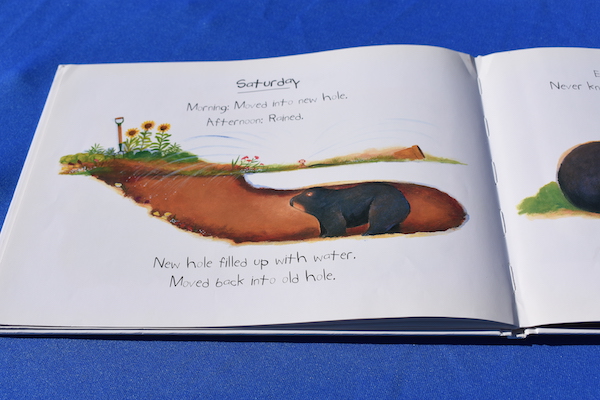 Diary of a Wombat – Jestress's Forgotten Books and Stories