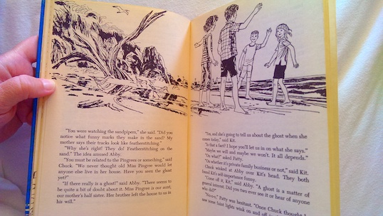 Mystery of the Pirate’s Ghost – Jestress's Forgotten Books and Stories