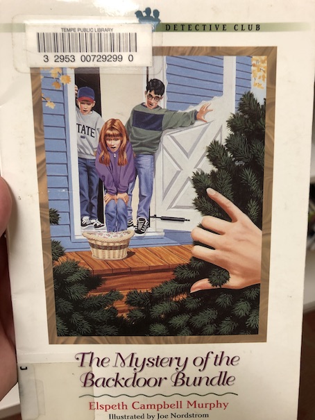 The Mystery of the Backdoor Bundle – Jestress's Forgotten Books and Stories