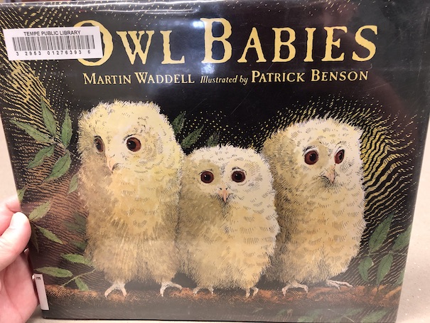 Owl Babies – Jestress's Forgotten Books and Stories