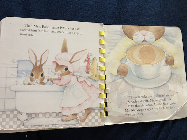 Peter Rabbit's Sniffy Adventure – Jestress's Forgotten Books and Stories