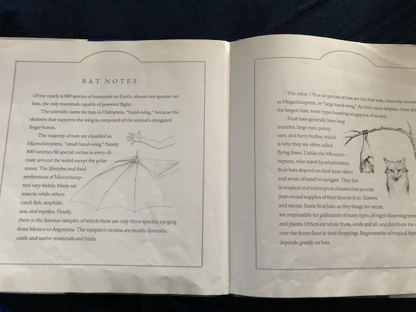 Stellaluna – Jestress's Forgotten Books and Stories