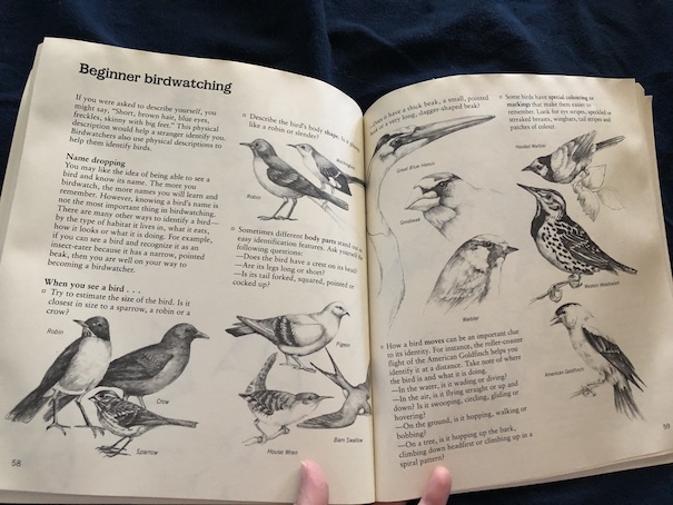 Bird Wise – Jestress's Forgotten Books and Stories