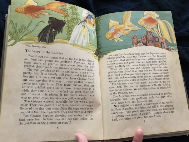 Fishes – Jestress's Forgotten Books and Stories