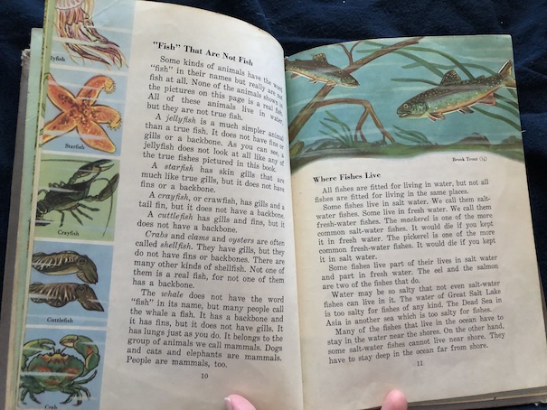 Fishes – Jestress's Forgotten Books and Stories