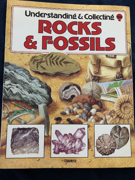 Understanding and Collecting Rocks and Fossils – Jestress's Forgotten ...