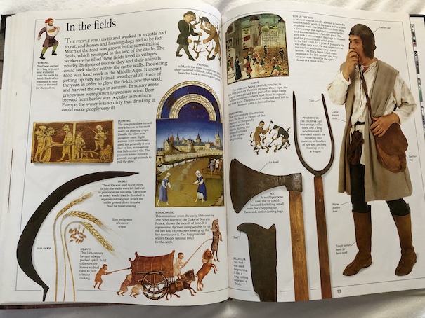 Eyewitness Castle – Jestress's Forgotten Books and Stories