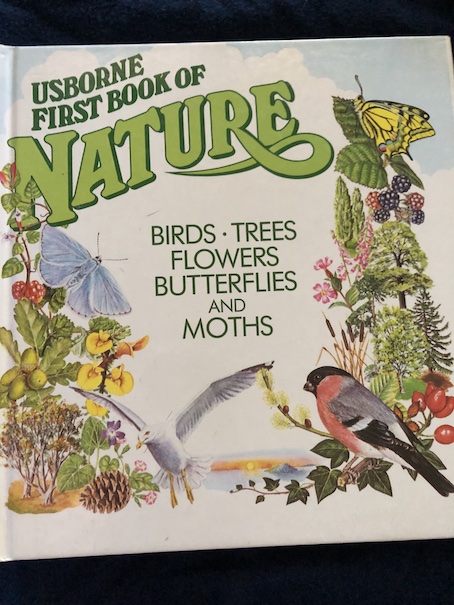 Usborne First Book of Nature – Jestress's Forgotten Books and Stories