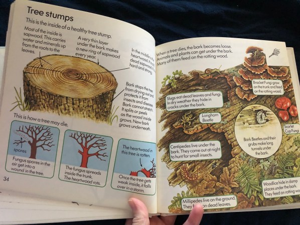 Usborne First Book of Nature – Jestress's Forgotten Books and Stories