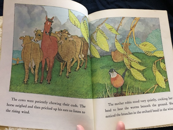 Where Will All the Animals Go? – Jestress's Forgotten Books and Stories