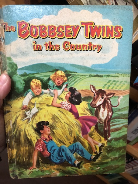Bobbsey Twins – Jestress's Forgotten Books and Stories