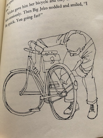Bicycle Mystery – Jestress's Forgotten Books and Stories