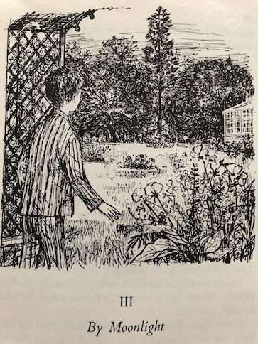Tom’s Midnight Garden – Jestress's Forgotten Books and Stories