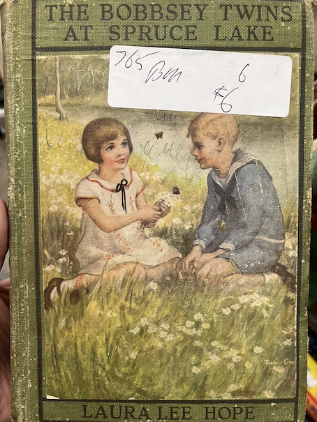 Bobbsey Twins – Jestress's Forgotten Books and Stories