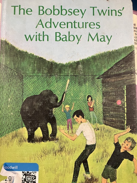 Bobbsey Twins – Jestress's Forgotten Books and Stories