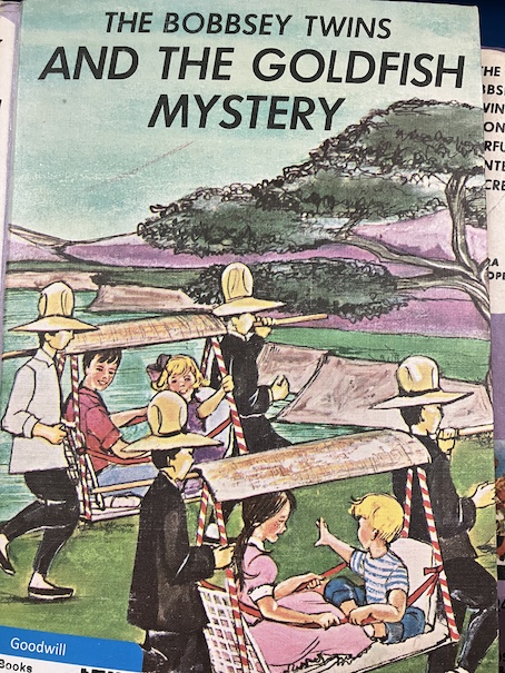 Bobbsey Twins – Jestress's Forgotten Books and Stories