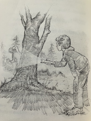 The Zombie Project – Jestress's Forgotten Books and Stories